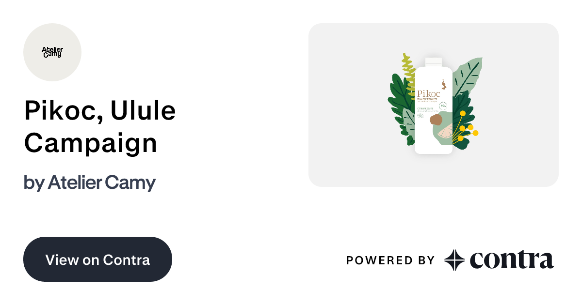 Pikoc, Ulule Campaign by Atelier Camy