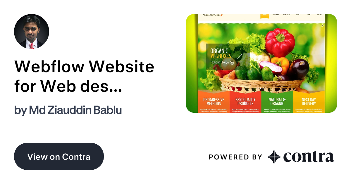 Webflow Website for Web design agency by Md Ziauddin Bablu