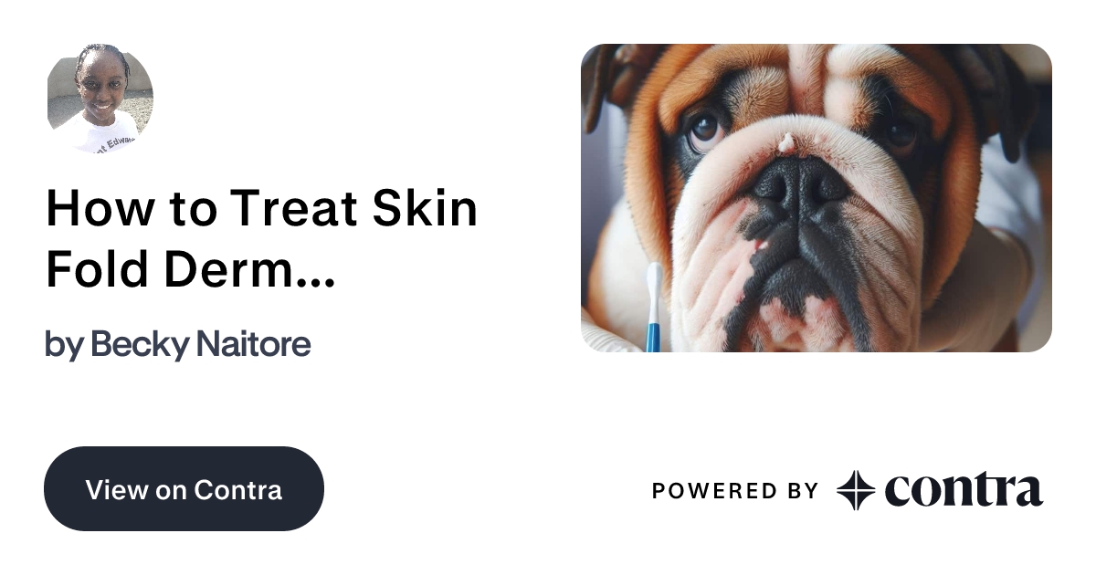 How to Treat Skin Fold Dermatitis in Bulldogs: Easy Care Tips by Becky ...