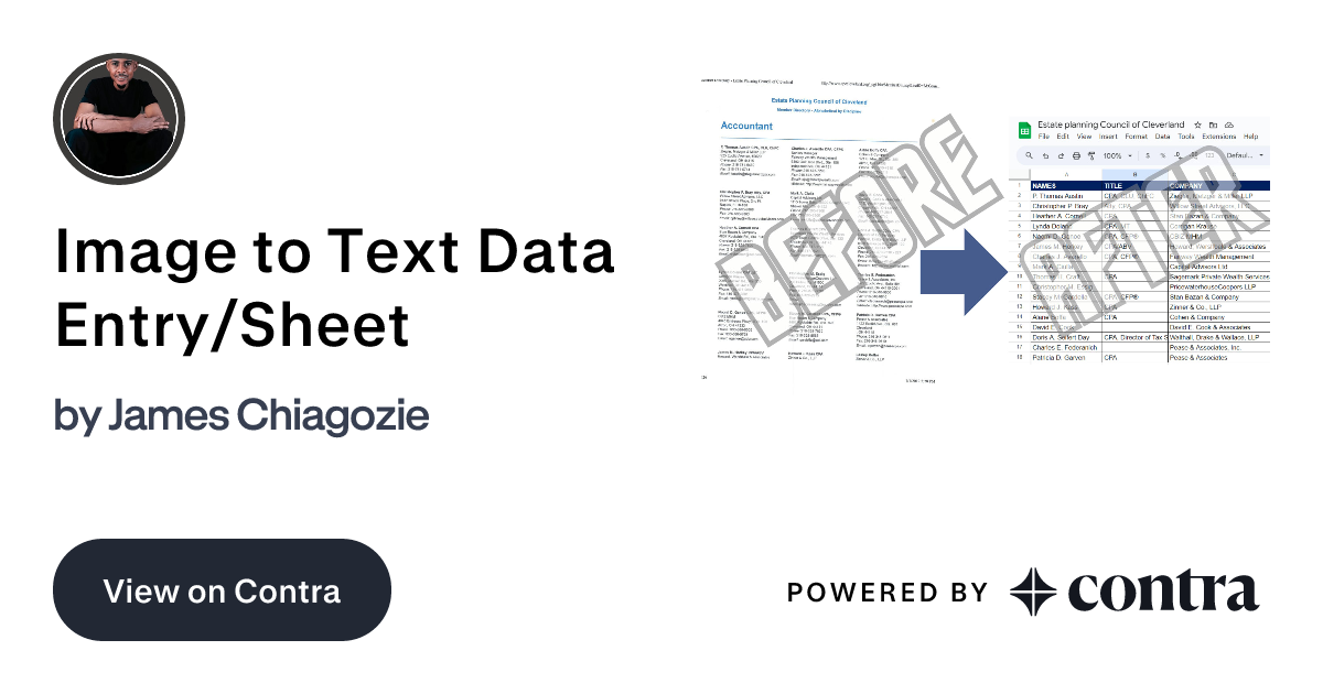 Image to Text Data Entry/Sheet by James Chiagozie