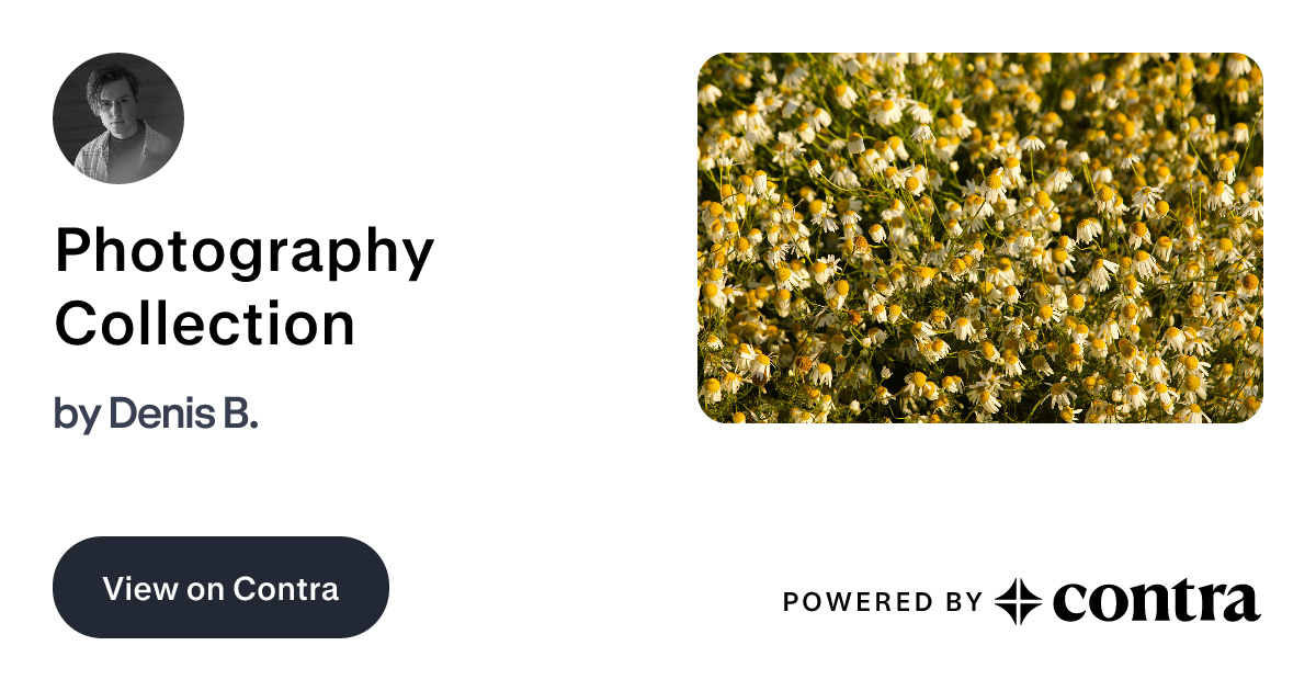Photography Collection by Denis B.