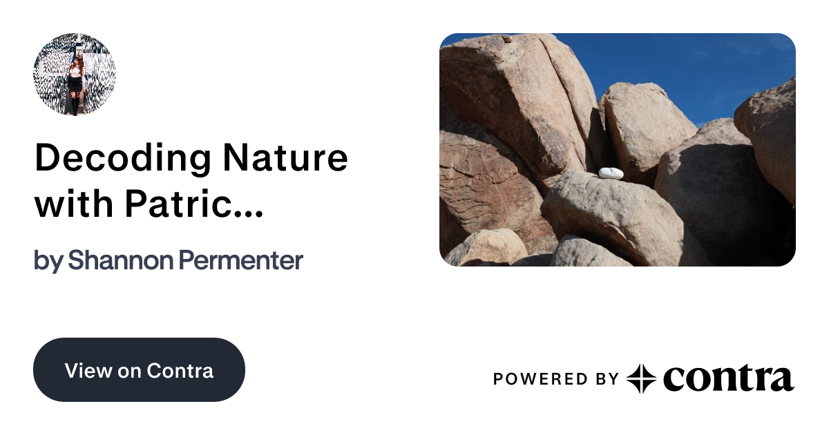 Decoding Nature with Patricia Vernhes by Shannon Permenter