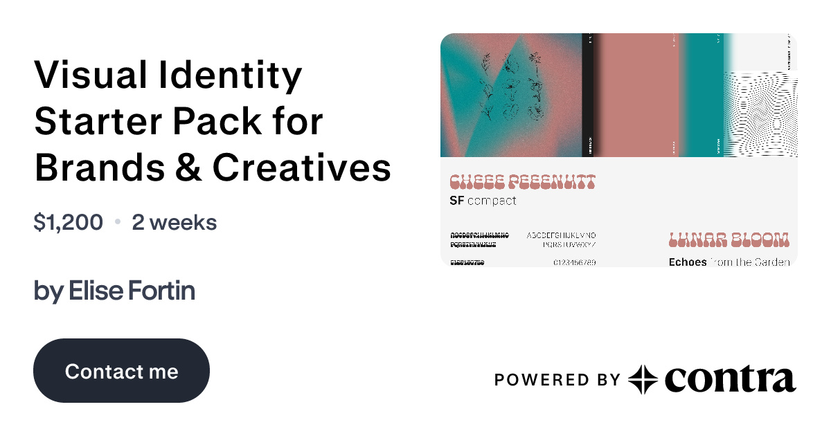 Visual Identity Starter Pack for Brands & Creatives by Elise Fortin