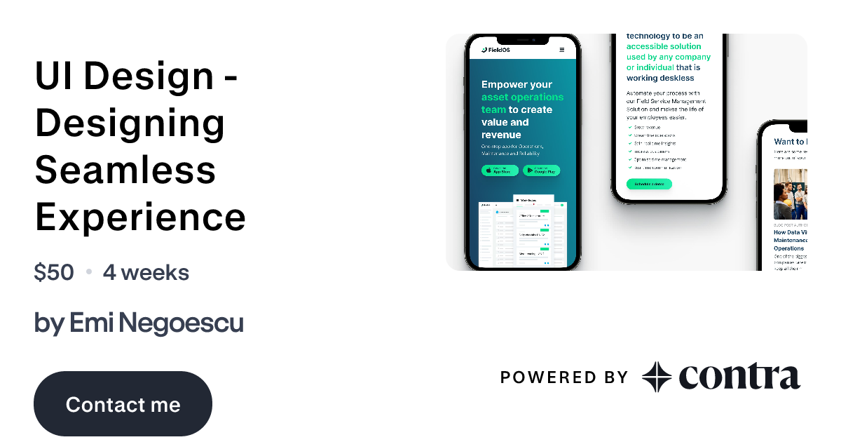 UI Design - Designing Seamless Experience by Emi Negoescu