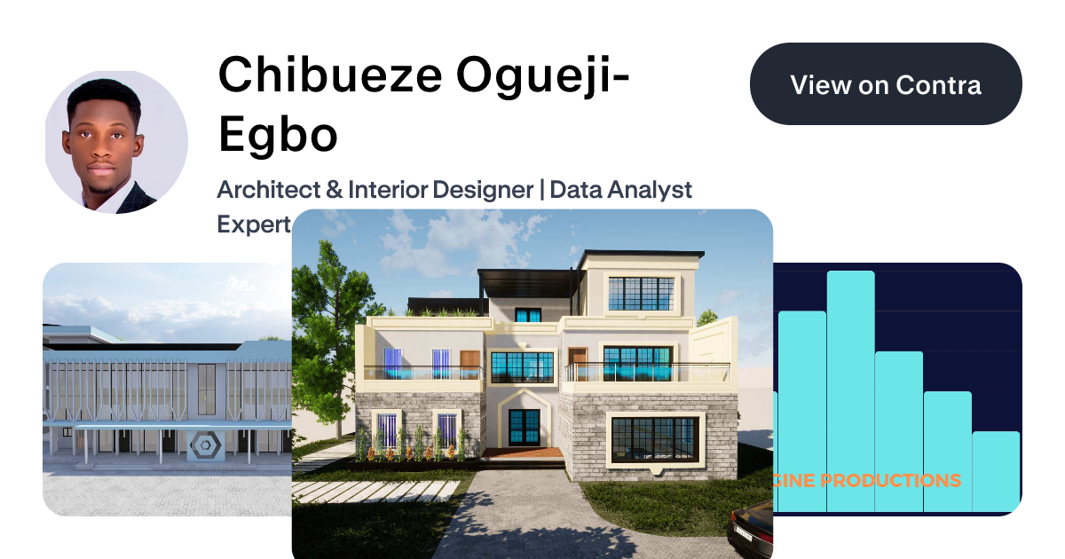 Chibueze Ogueji-Egbo on Contra