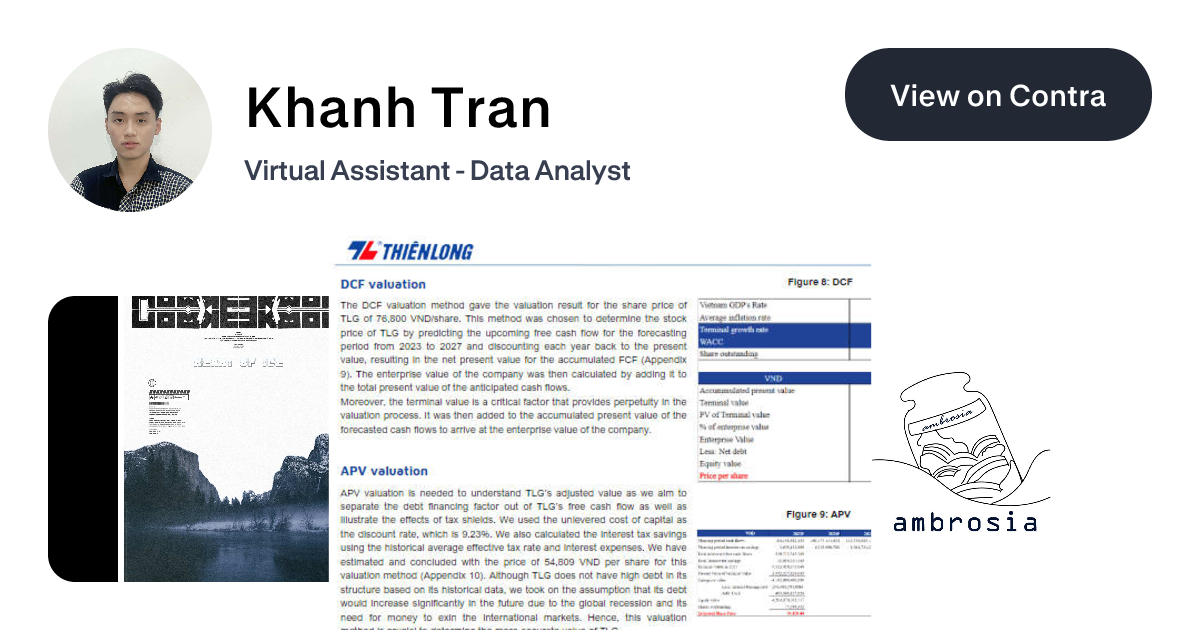 Khanh Tran on Contra | Virtual Assistant - Data Analyst