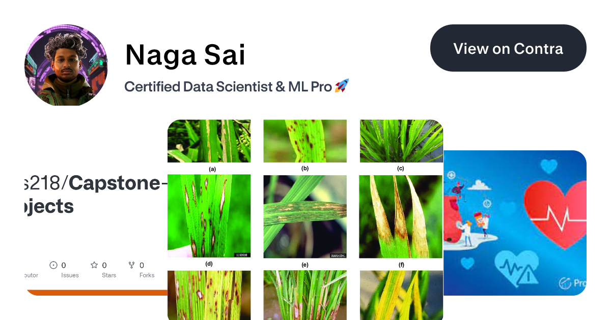 Naga Sai on Contra | Certified Data Scientist & ML Pro 🚀