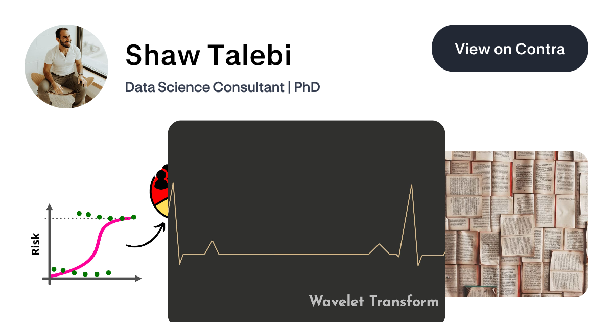 Shaw Talebi on Contra | Data Science Consultant | PhD